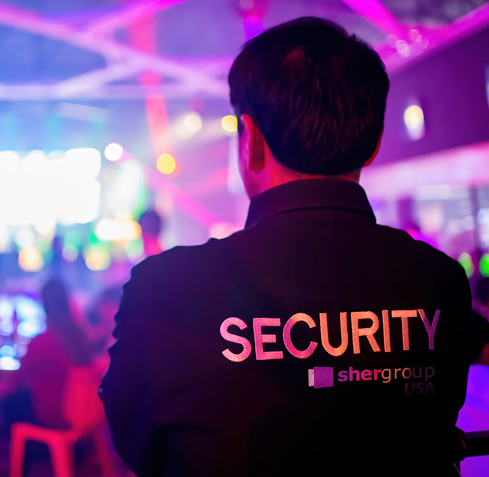 Security Solutions Company | Security Consultant | Security Officers ...